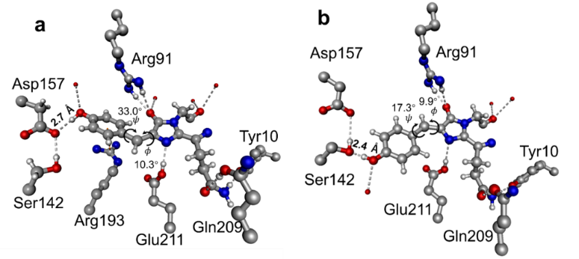 利用飞秒超快光谱拍摄“分子电影”，刘伟民课题组科研成果三登国际期刊封面